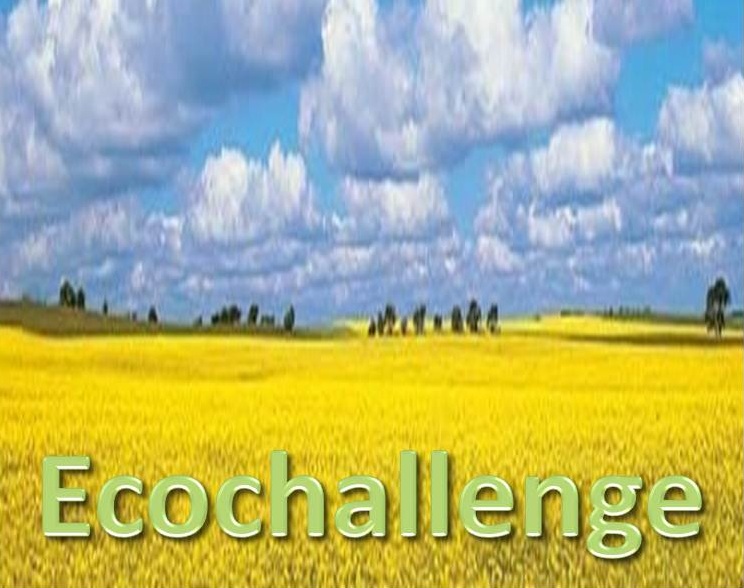 ecochallenge